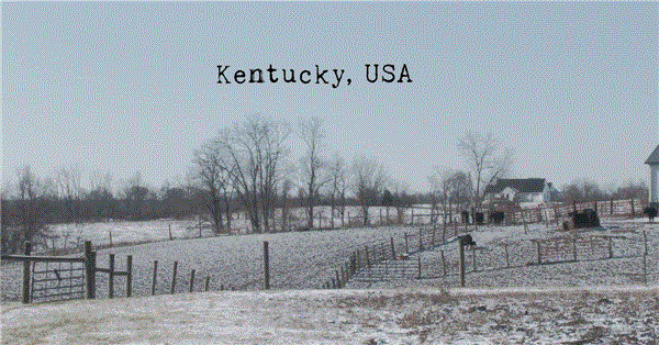 Everyone's talking about it. Even Kentucky. | Joe Public | Ramify Premium